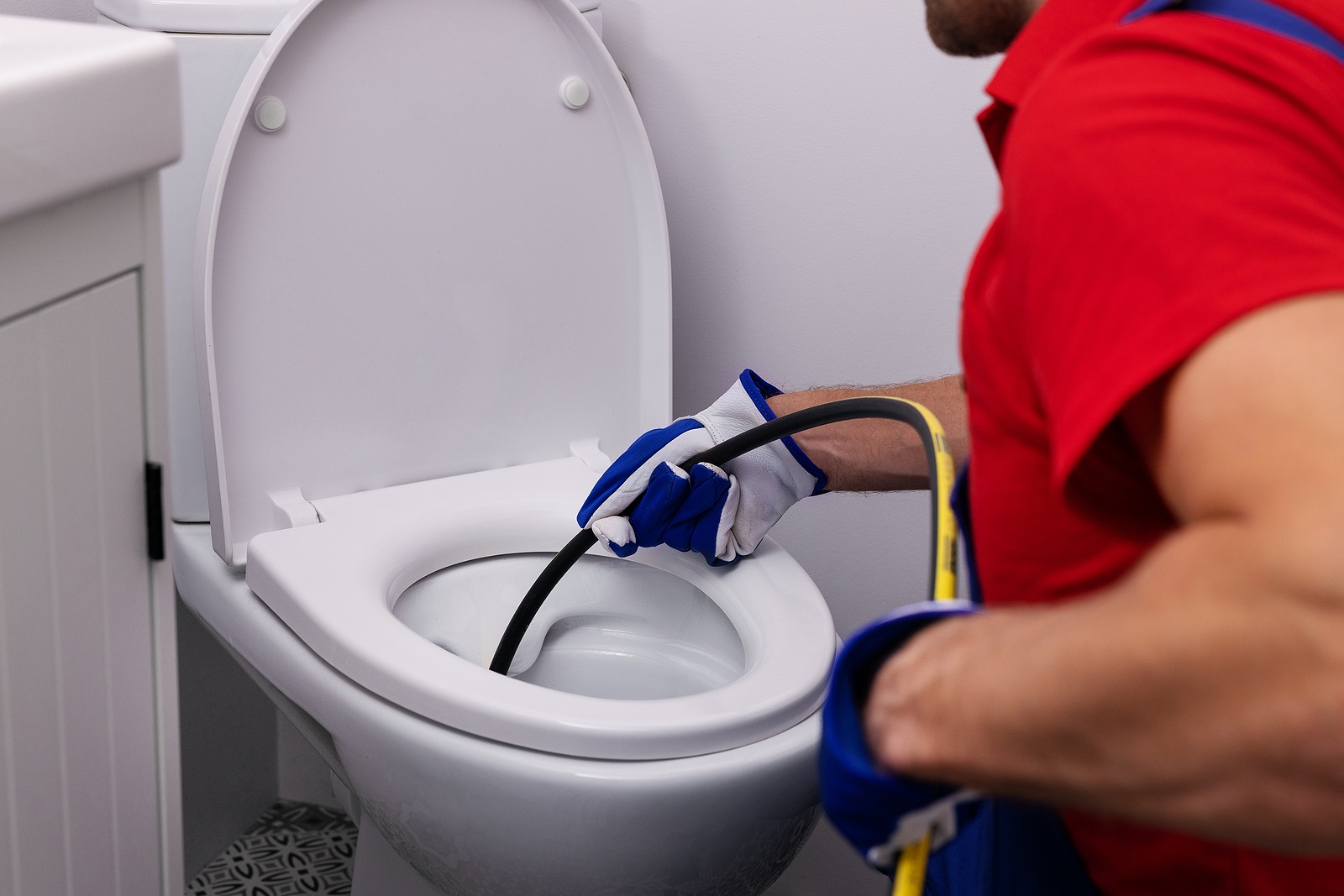 Dealing with a Clogged Toilet: Your Comprehensive Guide | Downey ...